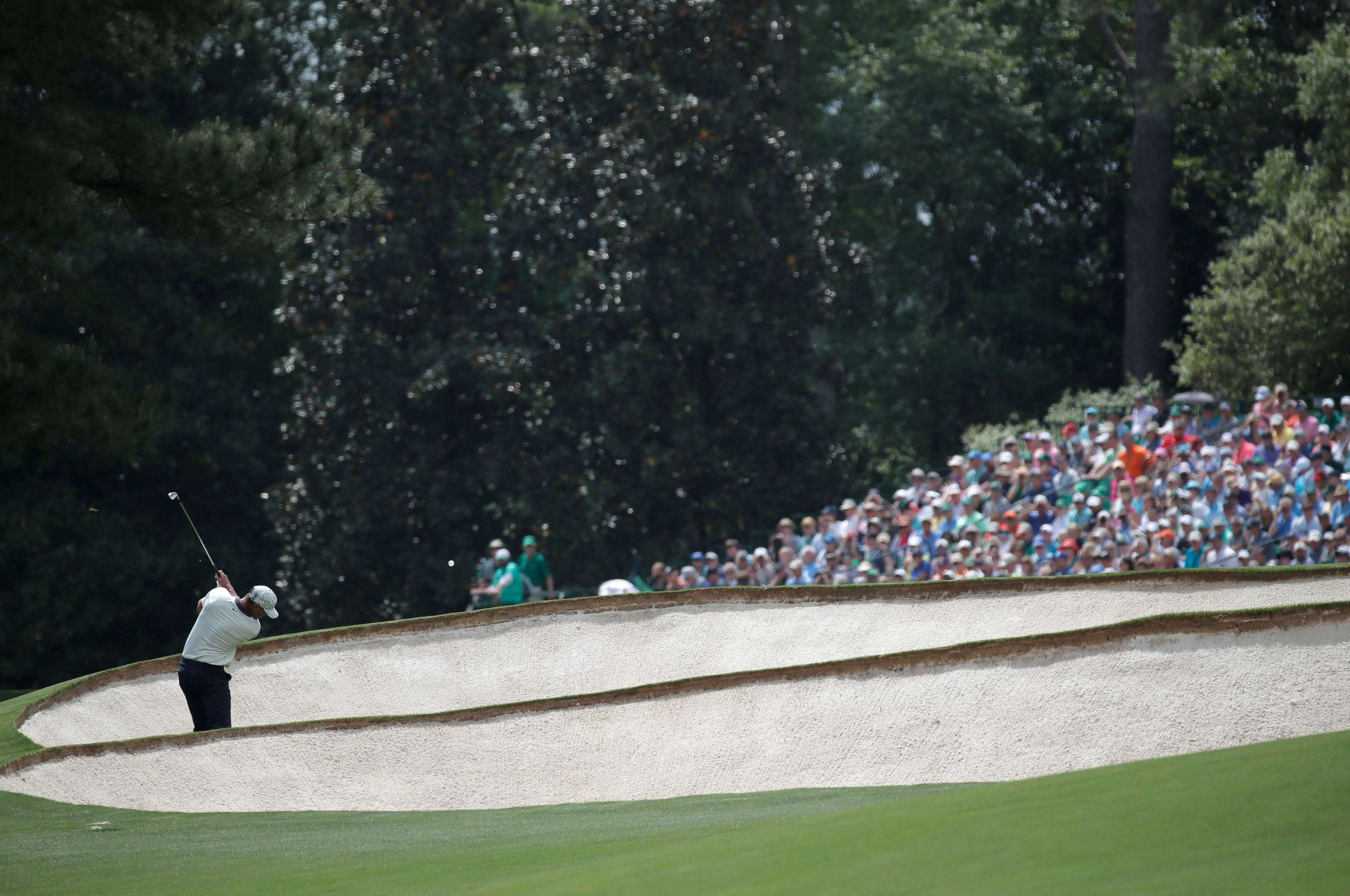 Theory Of Evolution - Global Golf Post
