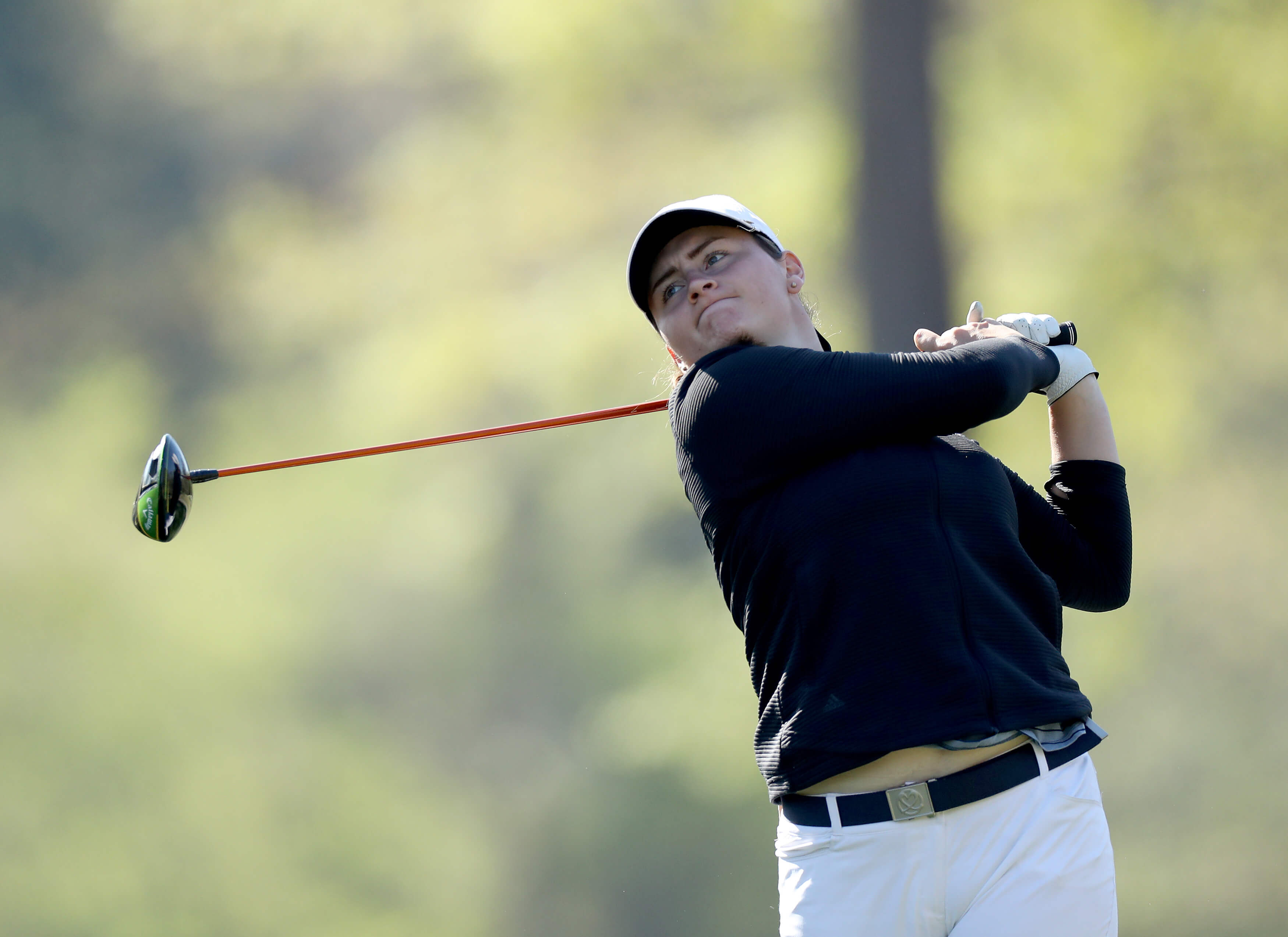 Blooming English Lily - Global Golf Post