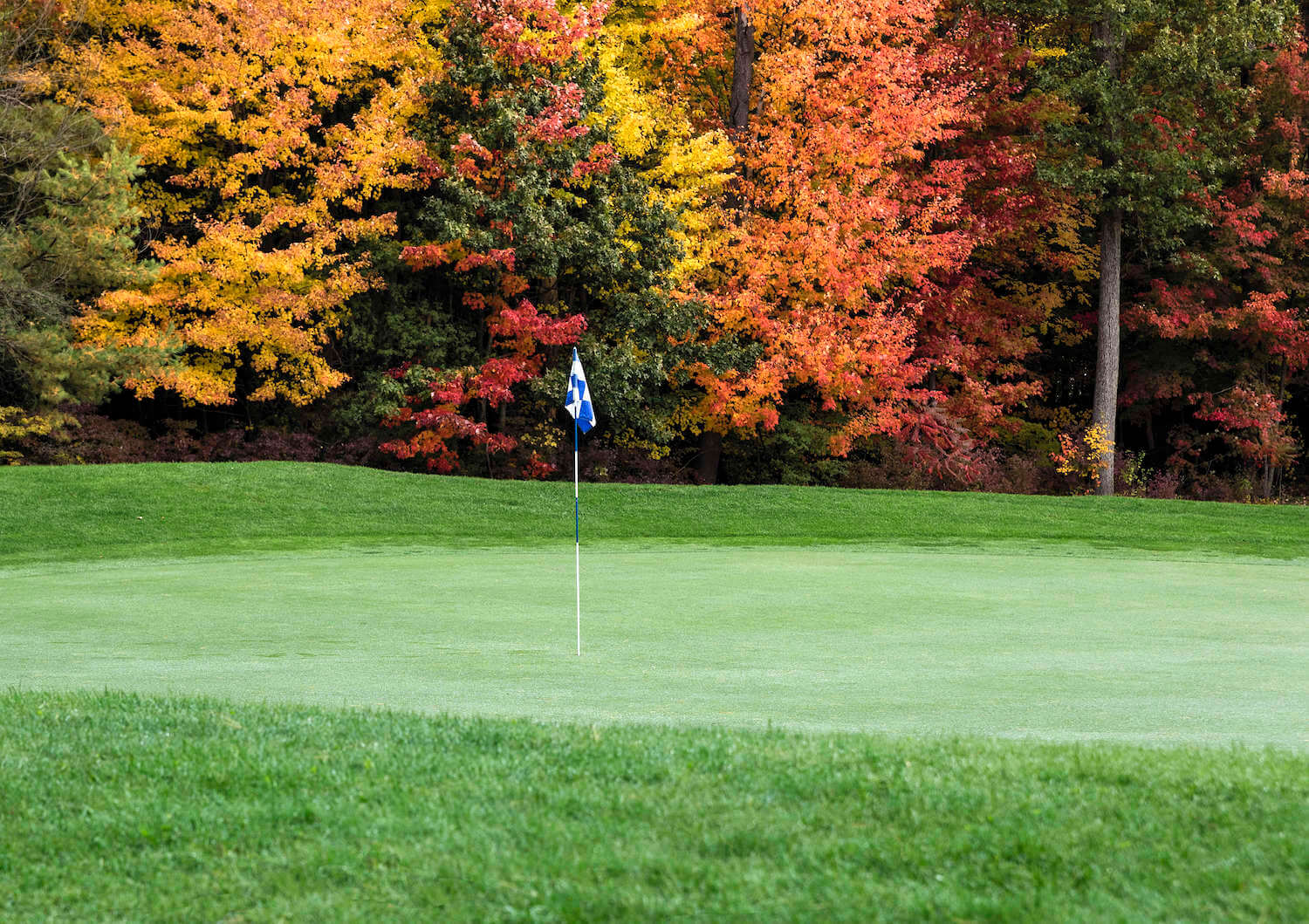 Lessons From A Stirring Fall - Global Golf Post