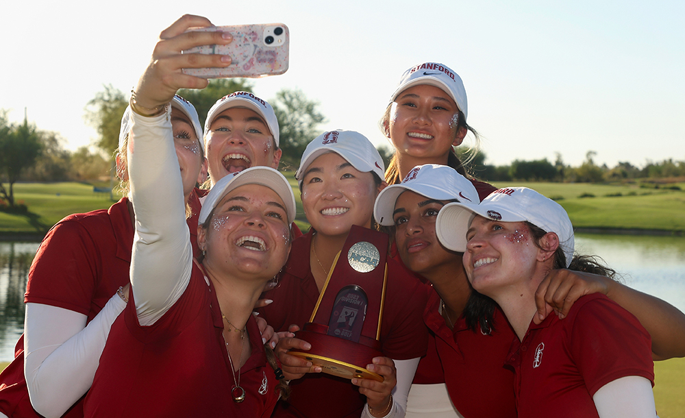 Rose in full bloom - Global Golf Post